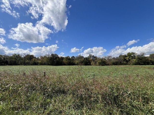 Bell Buckle Wartrace Rd, Wartrace, TN 37183