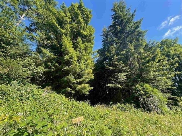 Bell Hole Loop Lot 29, Crescent City, CA 95531