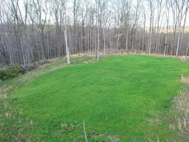 Bell Hollow Rd, Vanleer, TN 37181