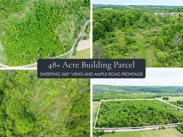 Bell Rd, New Berlin, NY 13411