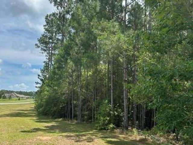 Bell Tower Pkwy, Carriere, MS 39416