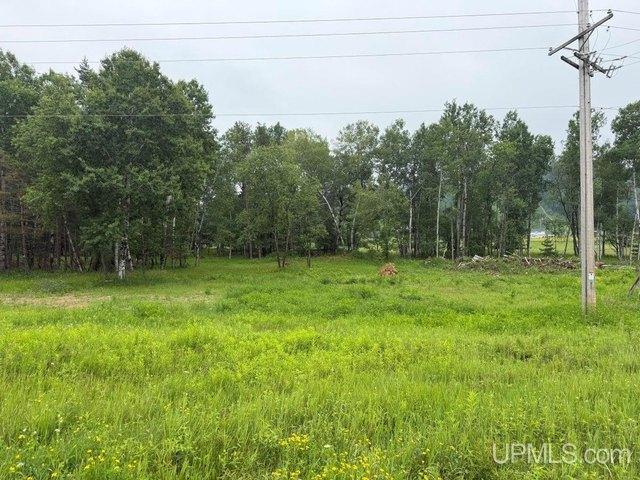 Bellagomba Rd, Iron Mountain, MI 49801
