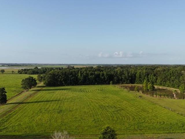 Bellard Rd, Welsh, LA 70591