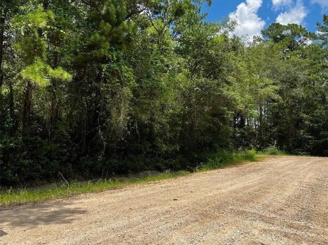 Belle Terrace Dr, Theodore, AL 36582