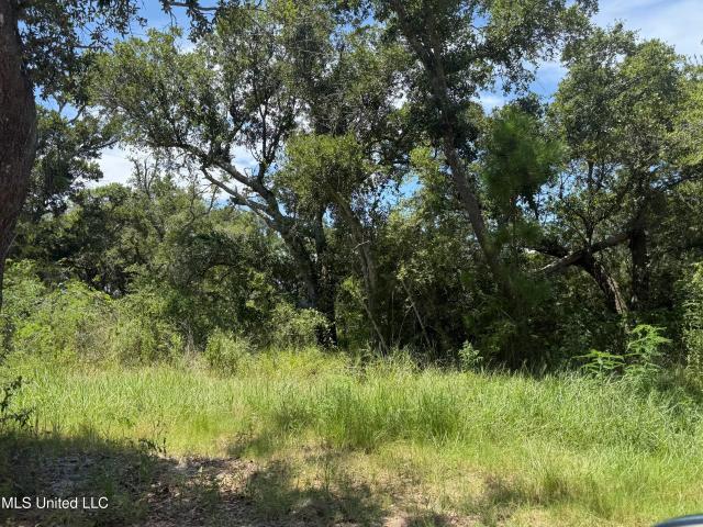 Belle Fontaine Dr, Ocean Springs, MS 39564 | MLS #4121