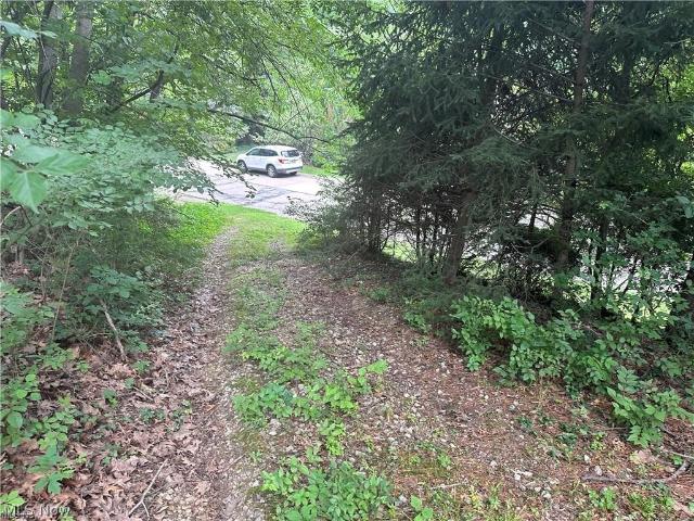 Belleau Wood Drive