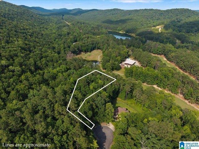 Bellerive Cir Lot 1, Oneonta, AL 35121