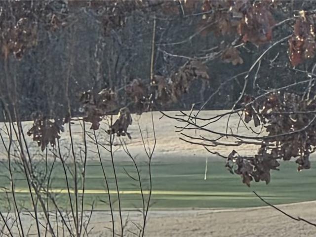 Belleza Way Lot 3, Hot Springs, AR 71909