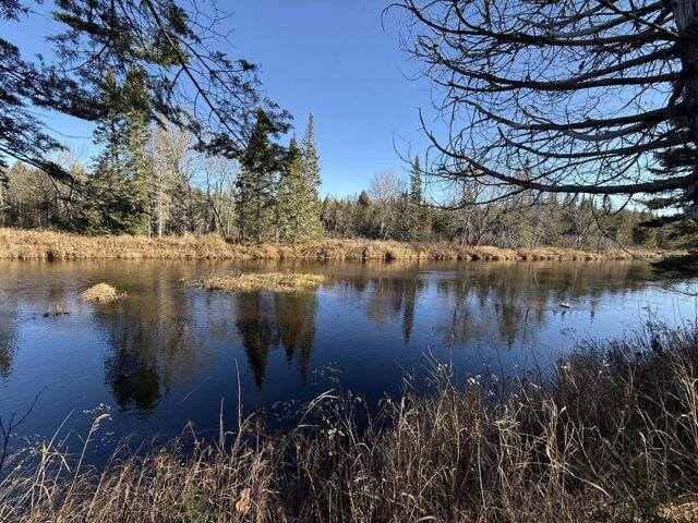 Bellfield Rd, Haynesville, Home For Sale