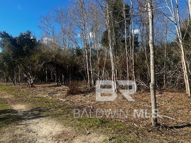 Bellingrath Rd, Theodore, AL 36582