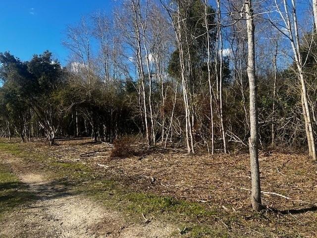 Bellingrath Rd, Theodore, AL 36582