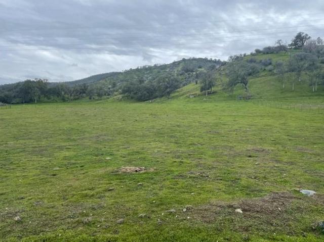 Bellows Dr, Sanger, CA 93657
