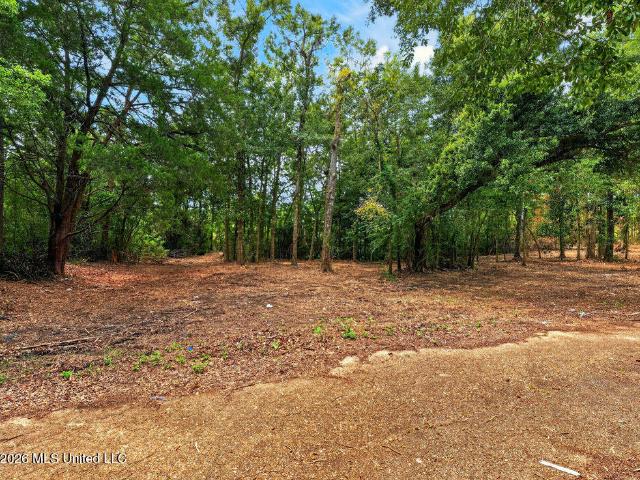 Bellview Avenue, Moss Point, MS 39563