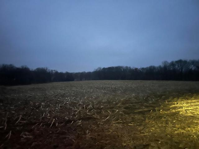 Bellview road, freeport, us, il