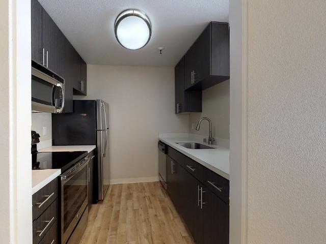 Belmont Terrace 1 Bedroom Apartment for Rent at 1060 Continentals Way, Belmont, CA 94002 Western Hills