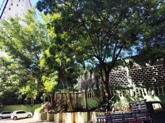 Belo Apartamento no Centro de Diadema