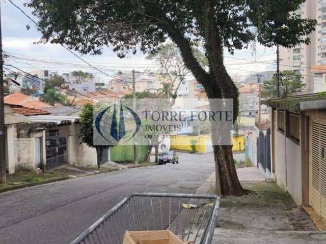 Belo Apartamento com 3 Dormitórios em Vila Floresta
