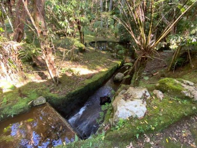 Belo Sítio com Riacho Natural venda na Cidade de São Lourenço da Serra