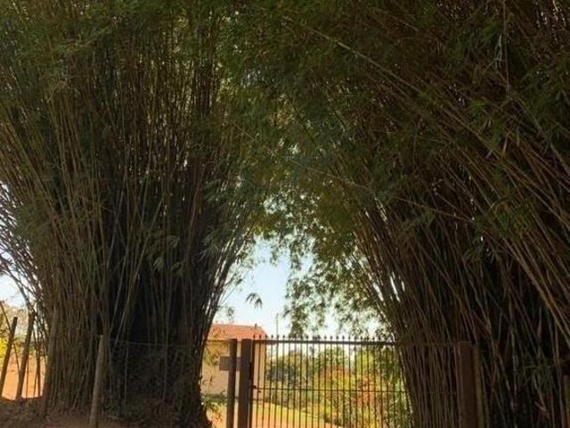 belo Sítio de 3 ha em Piedade dos Gerais MG