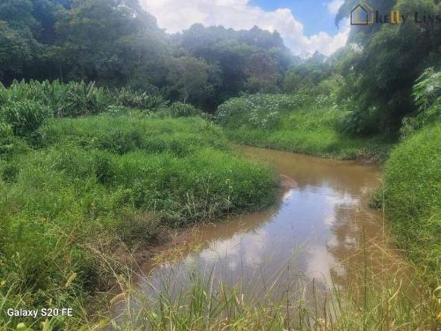 Belo sitio em Pinhalzinho 32.000 m² imóvel com escritura registrada rico em água confira!