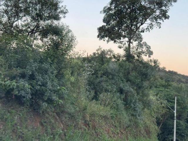 Belo terreno com 2 hectares em Moeda