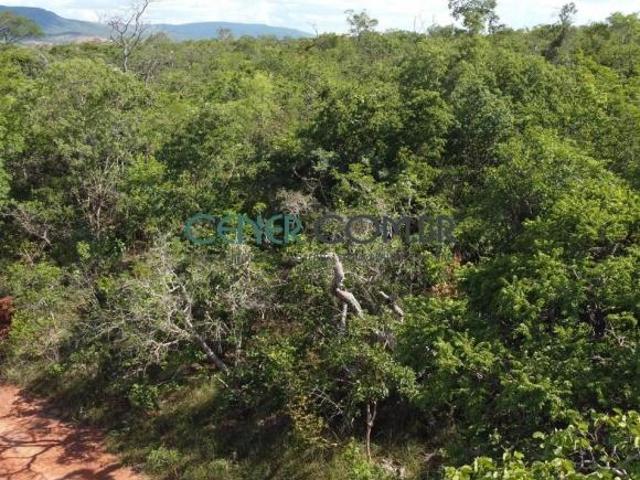 Belo terreno de 462 hectares espetacular para lavoura irrigada por apenas R$ 2.800.000,00