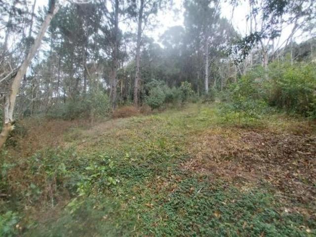 BELO TERRENO EM JUQUITIBA, SP* COD: 6166 F: 11 97302 9229 CESAR