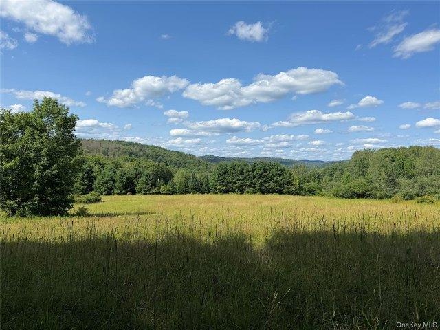 Bert Medlar Rd, Hancock, NY 13783
