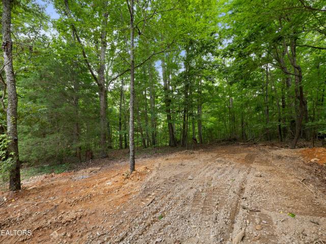 Bert Newman Lane 2r2, Knoxville, TN 37931