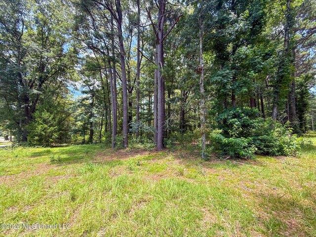 Berthadale Rd, McComb, MS 39648