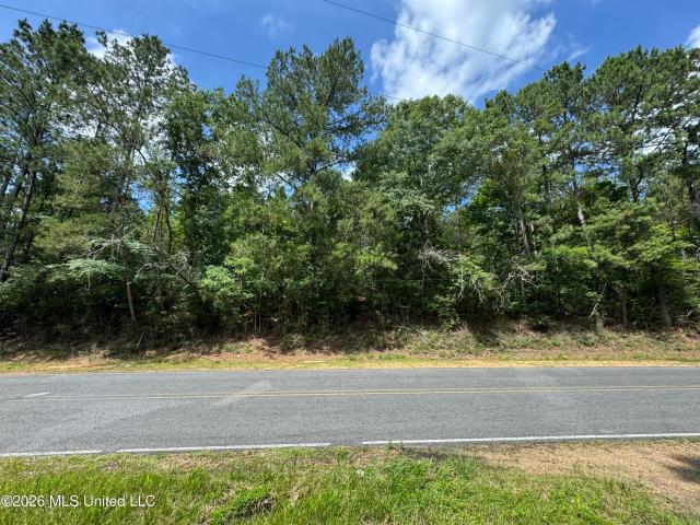 Berwick Cassels/ Hwy 48 Road, Liberty, MS 39645