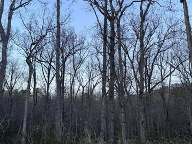 Berea Ave, Connelly Springs, NC 28612