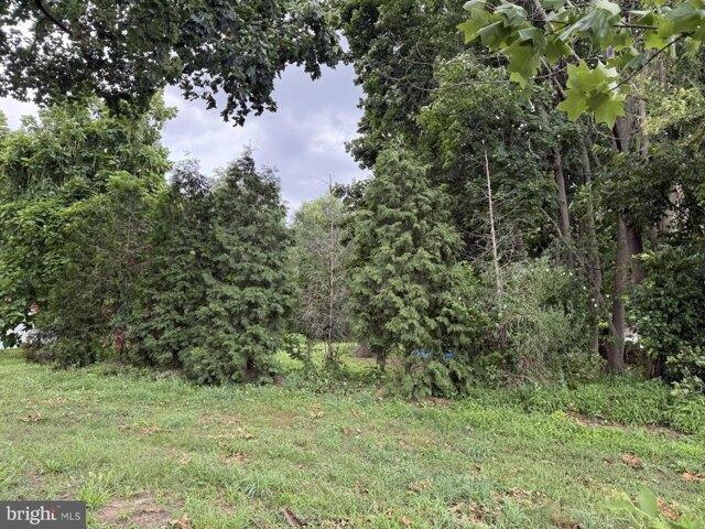 Berg Ave, Hamilton, Plot For Sale
