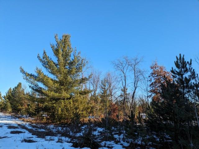 Bergstrom Dr, Kaleva, MI 49645