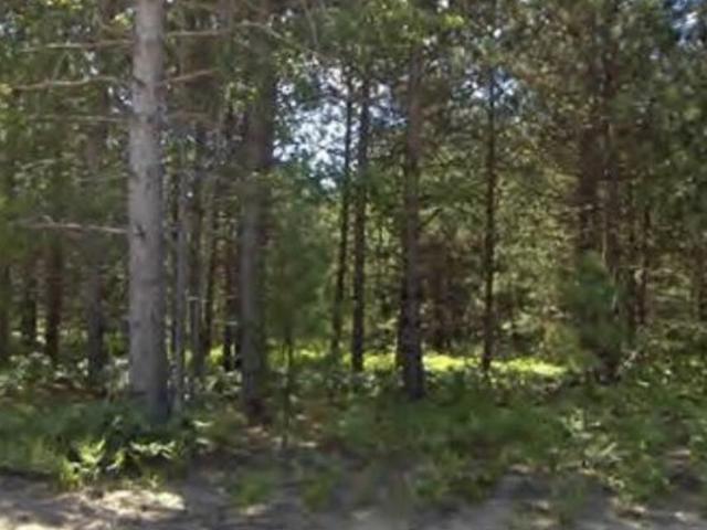 Bergstrom Dr, Kaleva, MI 49645