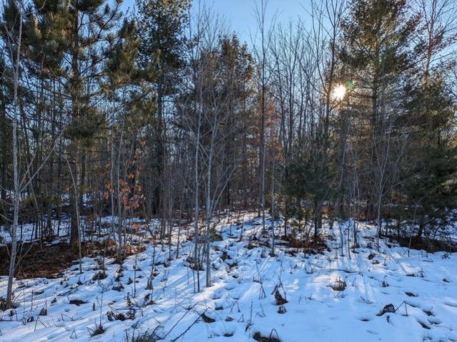 Bergstrom Dr, Kaleva, MI 49645