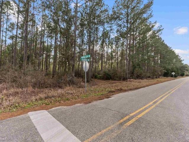 Bermuda Ln Lot 8, Seminole, AL 36574