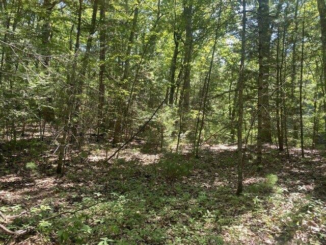 Bernard Whitney Rd Lot,new Braintree, Plot For Sale