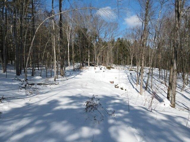 Bernardston MA 01337 LS103017800