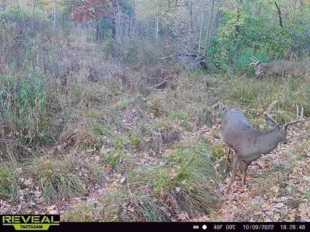 Beroun Crossing Rd, Brook Park, MN 55007