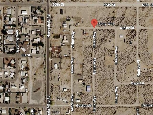 Berry Way, Salome, AZ 85348