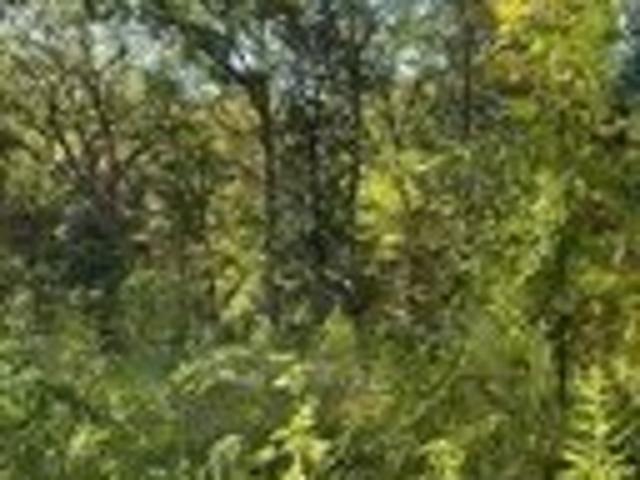 Berry Corner Ln, Carlisle, Plot For Sale