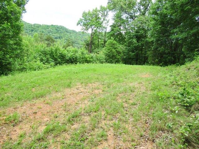 Berry Cove Rd Lot 10, Franklin, NC 28734