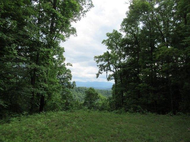 Berry Cove Rd Lot 17, Franklin, NC 28734