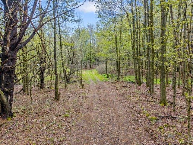 Berry Dr, Lorraine, NY 13659