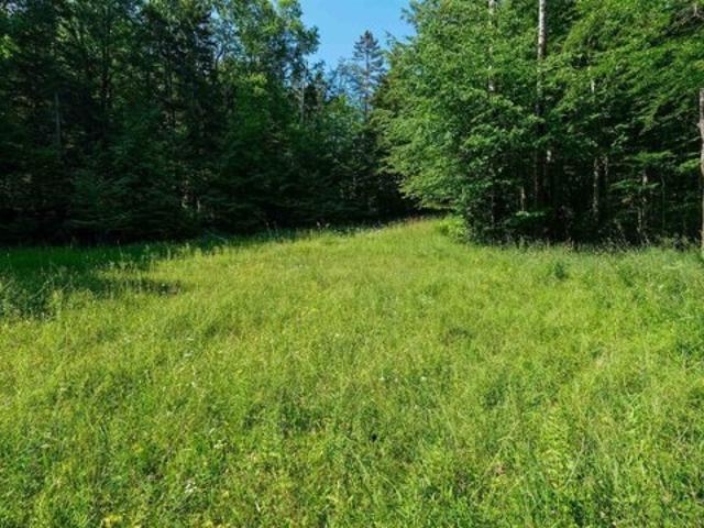 Berry Patch Ln, Ludlow, Plot For Sale