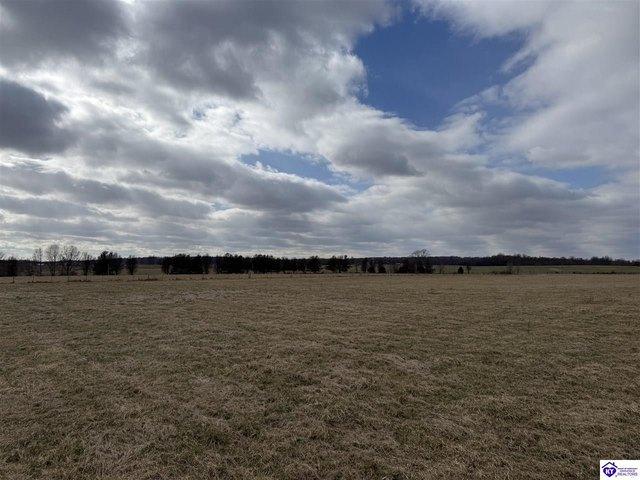 Berrytown Rd Lot 18, Rineyville, KY 40162
