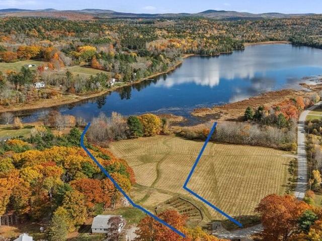 Betts Rd, Orrington, Plot For Sale