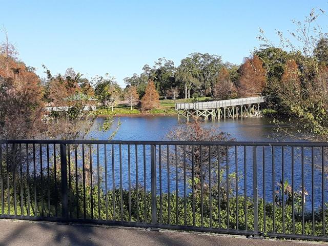 Betty Lane 1 Bedroom Apartment for Rent at 610 610 & 616 S Betty Lane, Clearwater, FL 33756