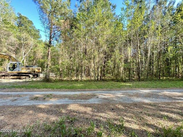 Beth Dr, Conway, SC 29527